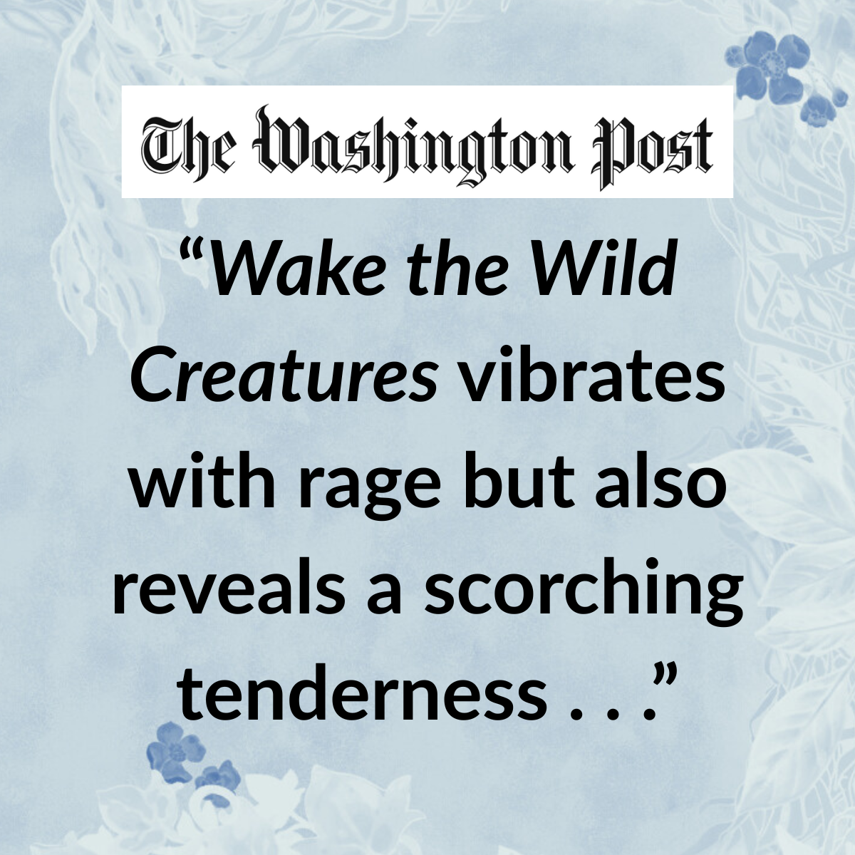 The Washington Post Features WAKE THE WILD CREATURES – Nova Ren Suma